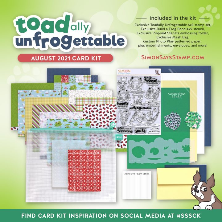 10 Minute Cards: Edge-to-Edge Shaker with Simon's August 2021 Card Kit ...